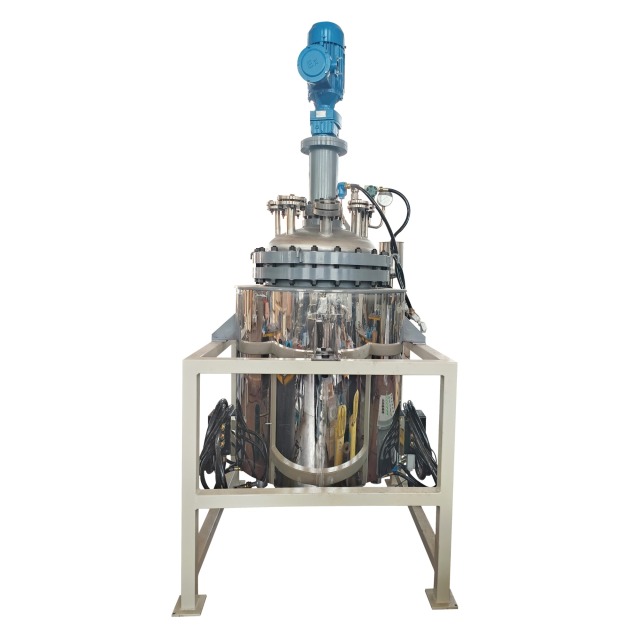 200L high pressure pilot reactor with thermal oil bath magnetic seal