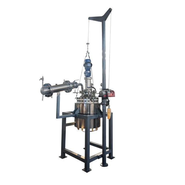 80L esterification reactor with sag rod