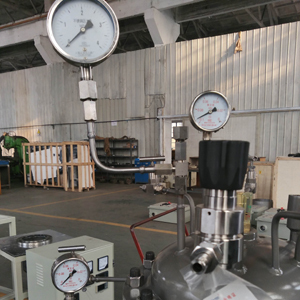 25L cryogenic reactor with level gauge