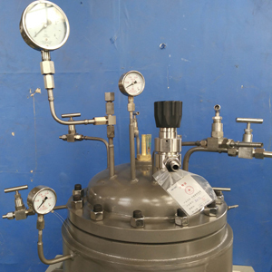 25L cryogenic reactor with level gauge