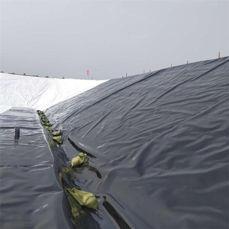 Mastering the Art of Installing and Maintaining HDPE Geomembrane