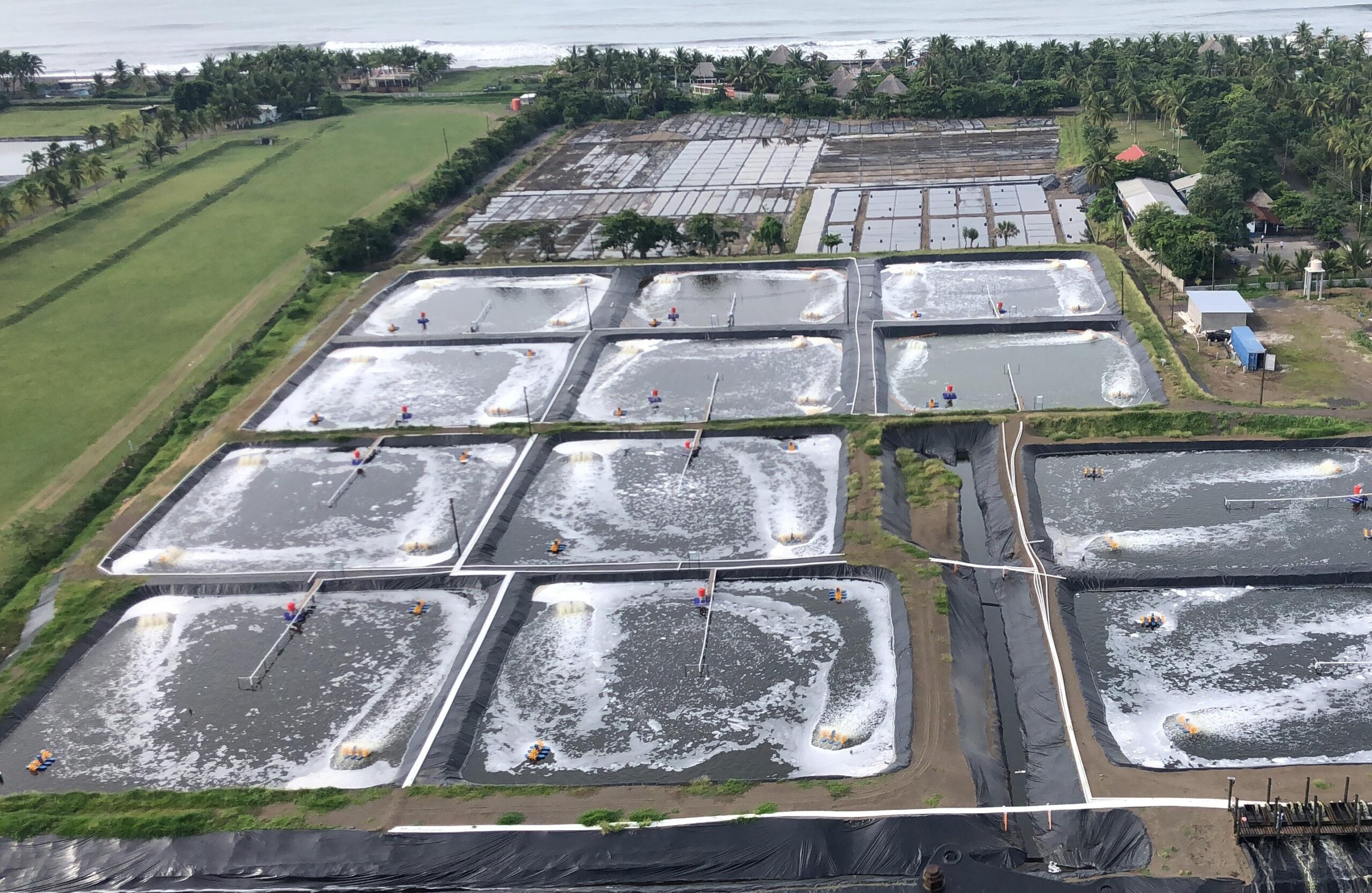 Why Custom HDPE Geomembrane Solutions Are Essential