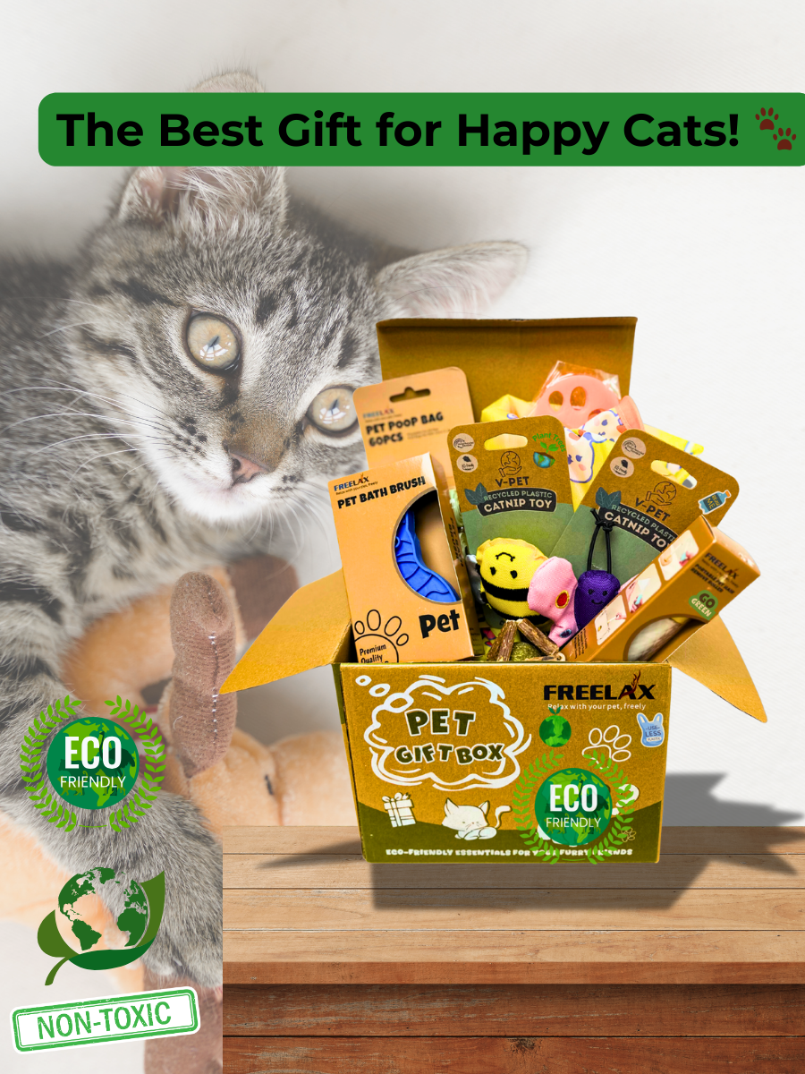 FREELAX Cat Toys Box & Cat Toys | Cat Gifts Set | Interactive Pet Box ...