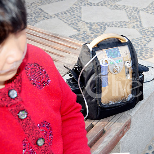 110V Small Portable Oxygen Concentrator with Anion Function and ...