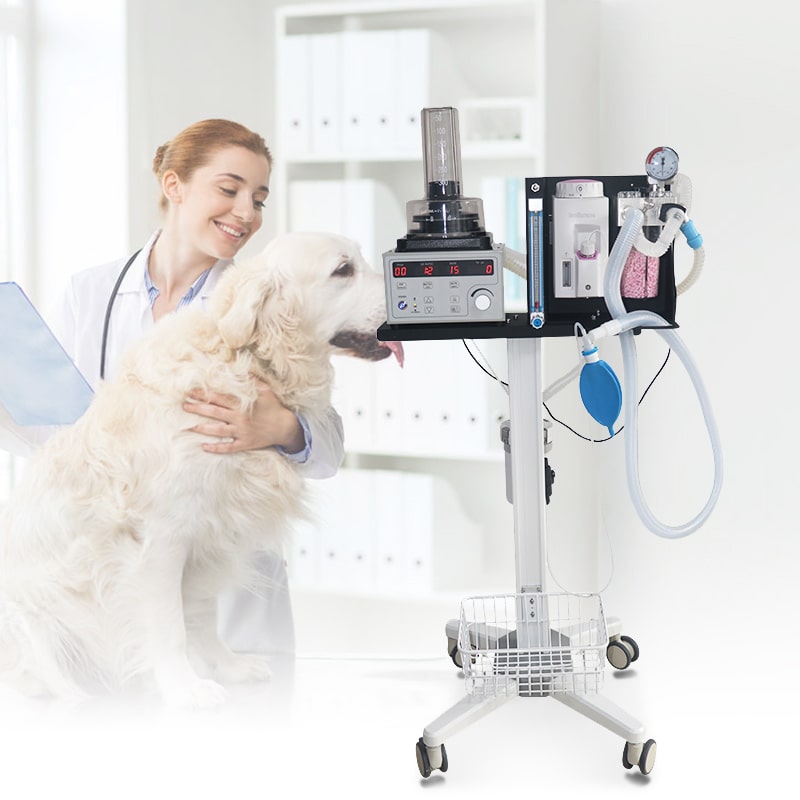 Maquina De Anestesia Veterinaria Veterinary Anesthesia Machine With ...