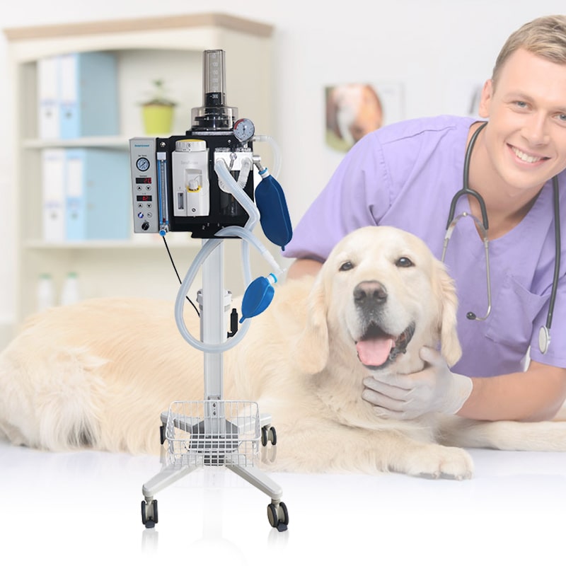 Vet Gas Anesthesia Machine With Ventilator Animal Anesthesia Medical ...