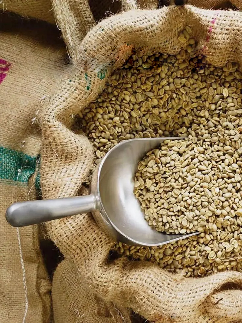 What Is White Coffee & How To Make It | ZhenXindustry