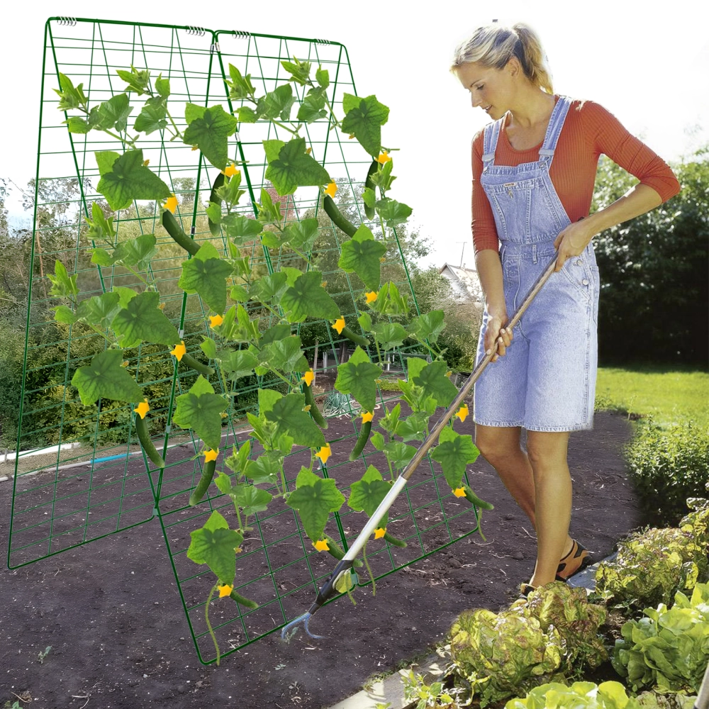 cucumber growing frame