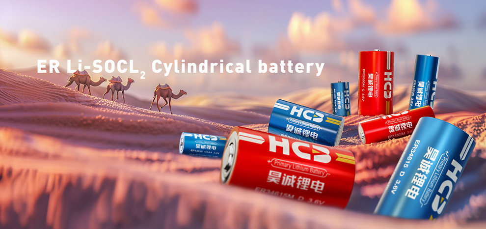 HCB Industrial Customized Battery Pack Primary Lithium Battery Iot Li ...