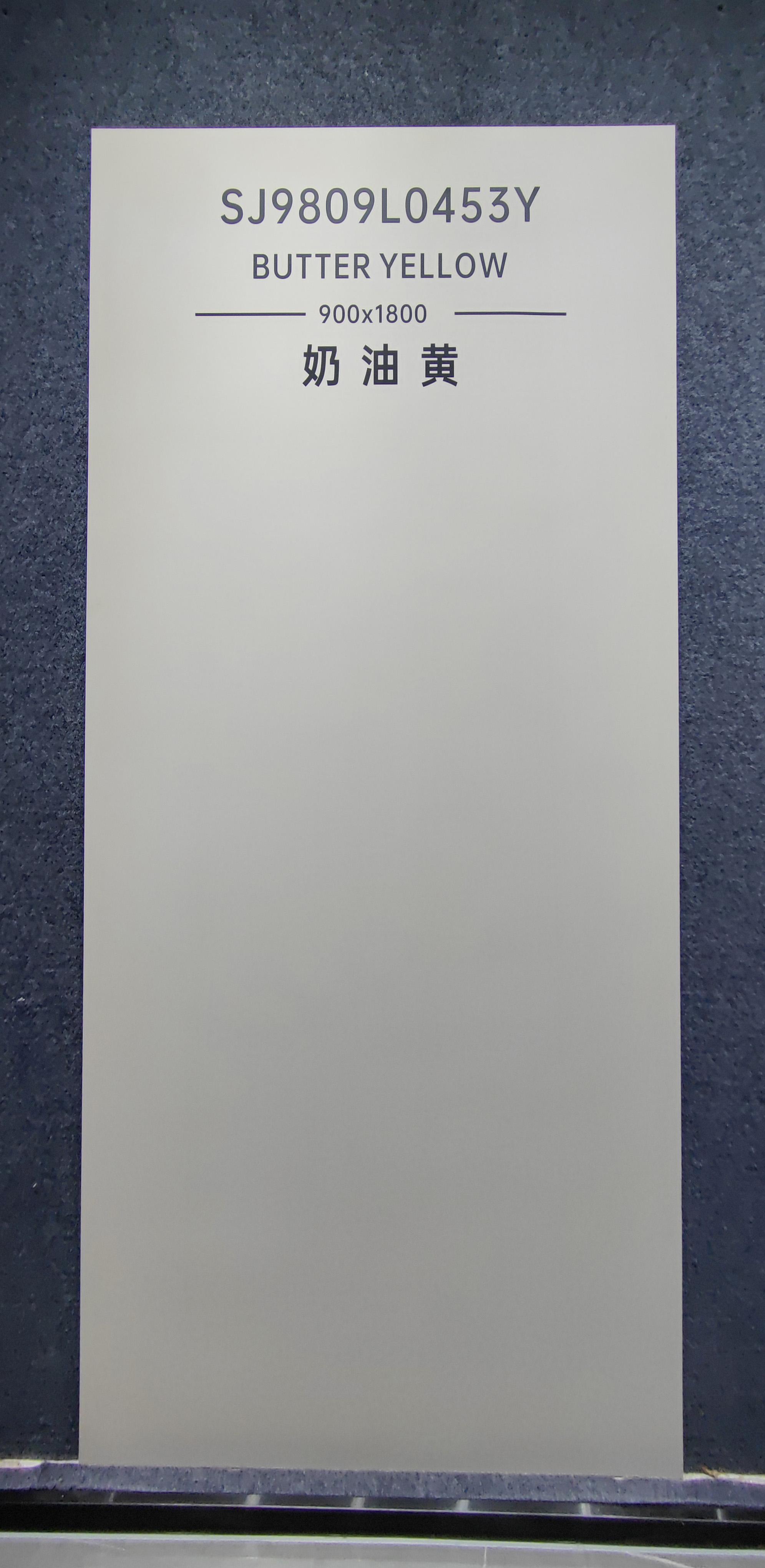 solid color floors porcelain slab Living Room Bedroom Walls tile