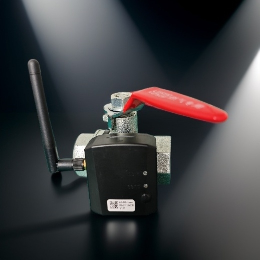 EZ-DS-LoRa(Wireless valve position monitoring module)