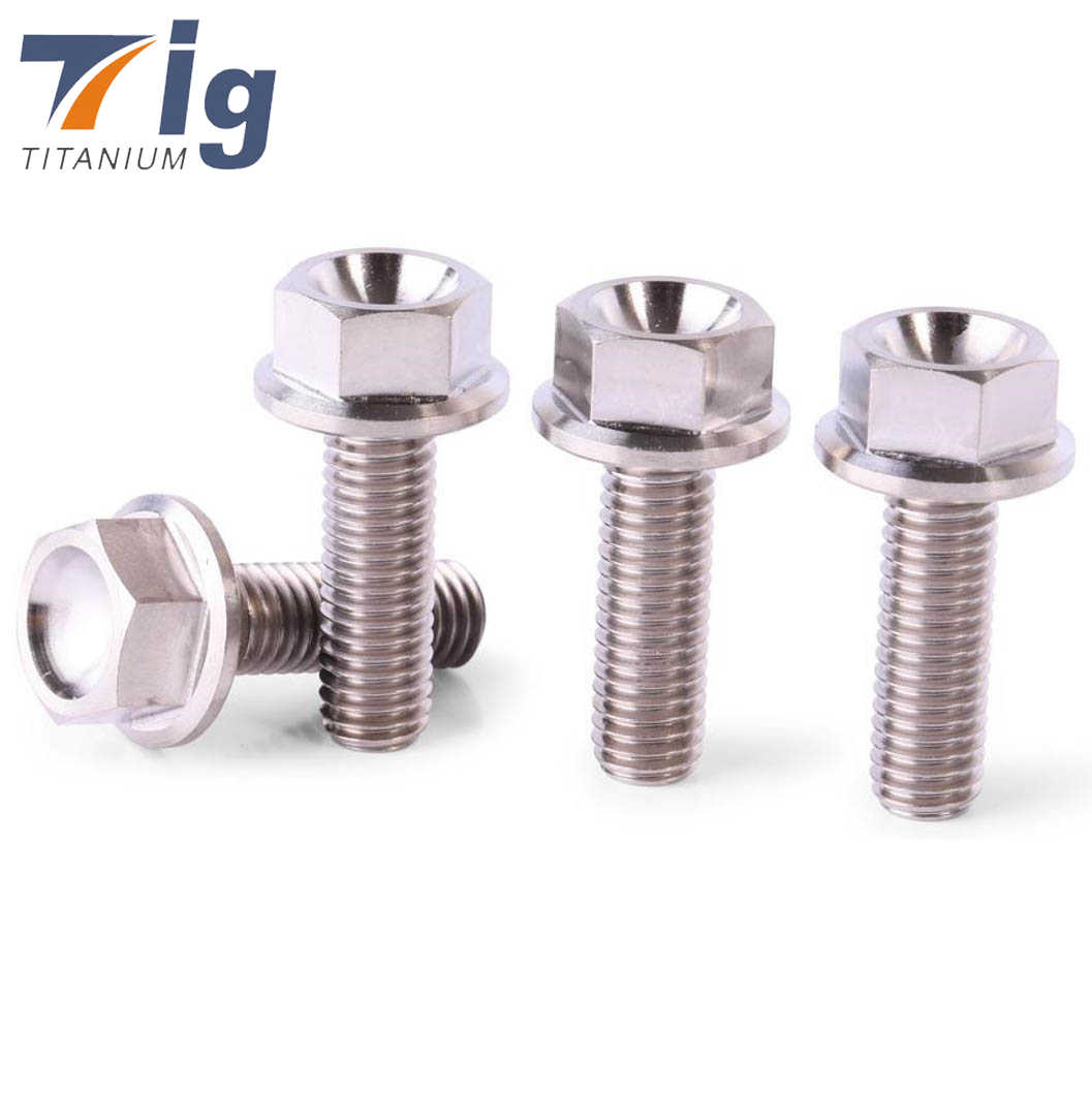 Customized M6 M8 M10 Flanged Point Hex Titanium Bolt