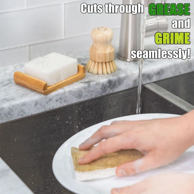 Edible Multi-Use Dish Soap