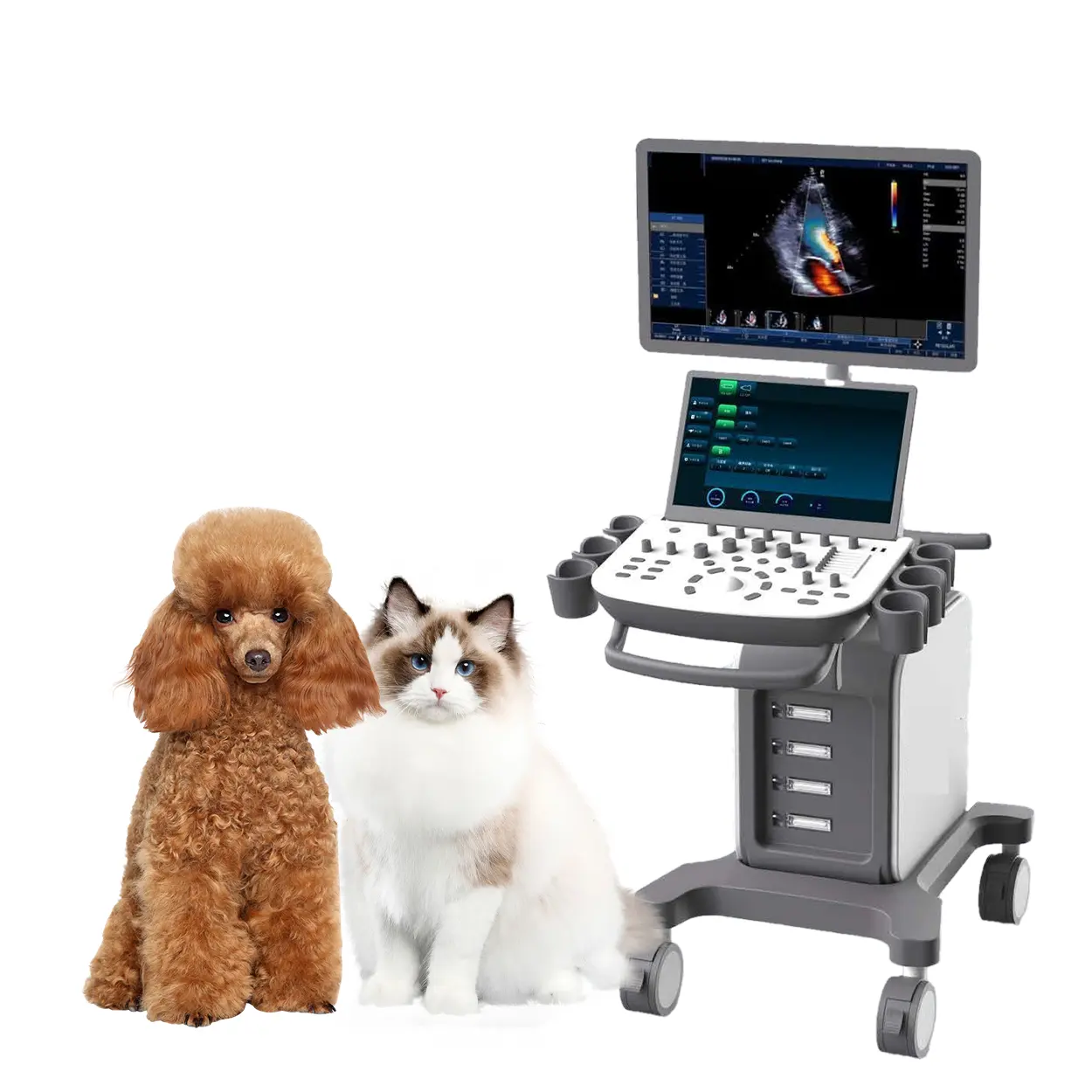 Color Ultrasound Doppler Diagnostic V80