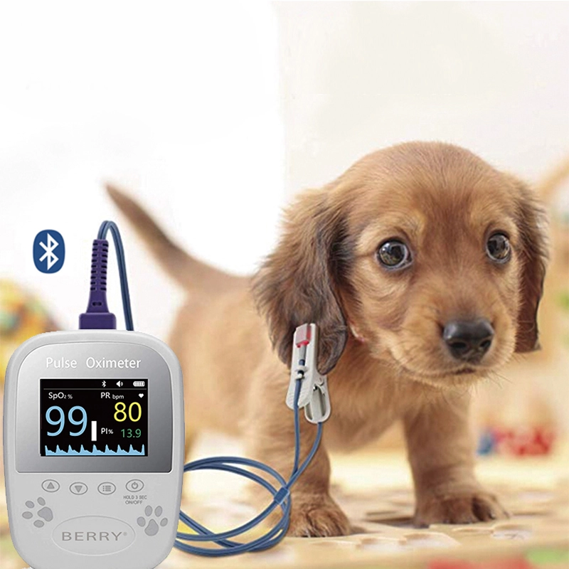Berry BM1000A-I Veterinary Pulse Oximeter - Best Pulse Oximeter for ...