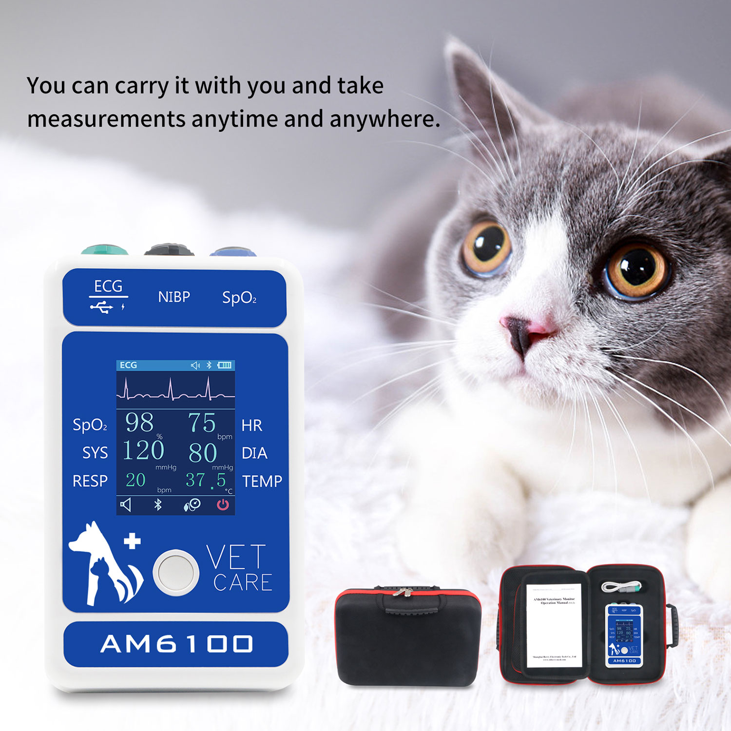 Berry AM6100 Handheld Vital Signs & ECG Vet Monitor - Accurate Animal ...