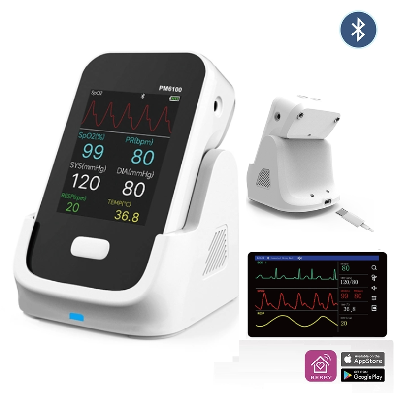 Pepultech PM6100 Handheld Vital Sign Monitor – ECG Mini Bluetooth ...