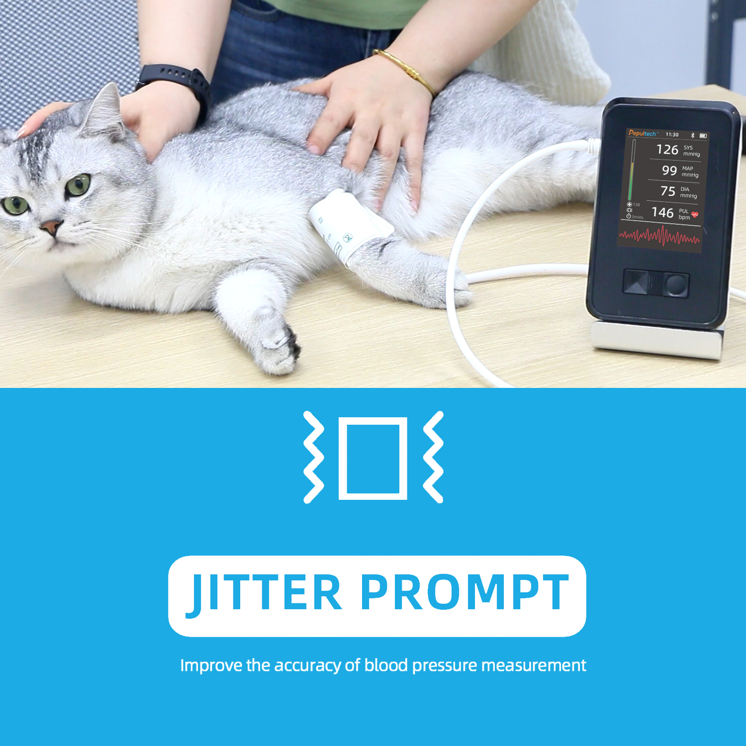 Understanding the Importance of Cat Pulse Monitoring