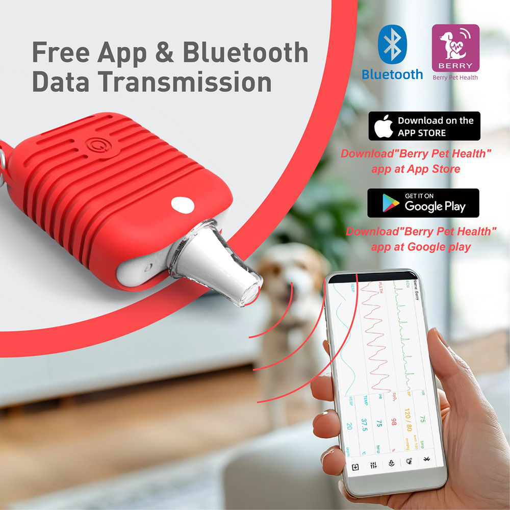 Pepultech AM4100 Veterinary Pulse Oximeter - Portable Health Monitor ...