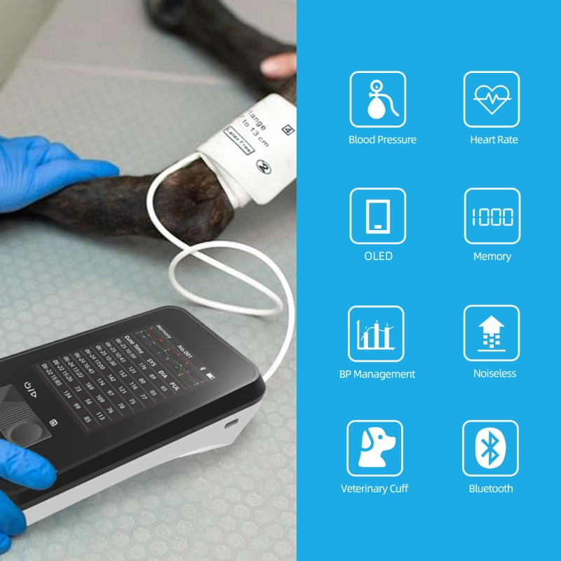 Monitor Your Cat’s Health at Home with the Best Cat Blood Pressure Monitor