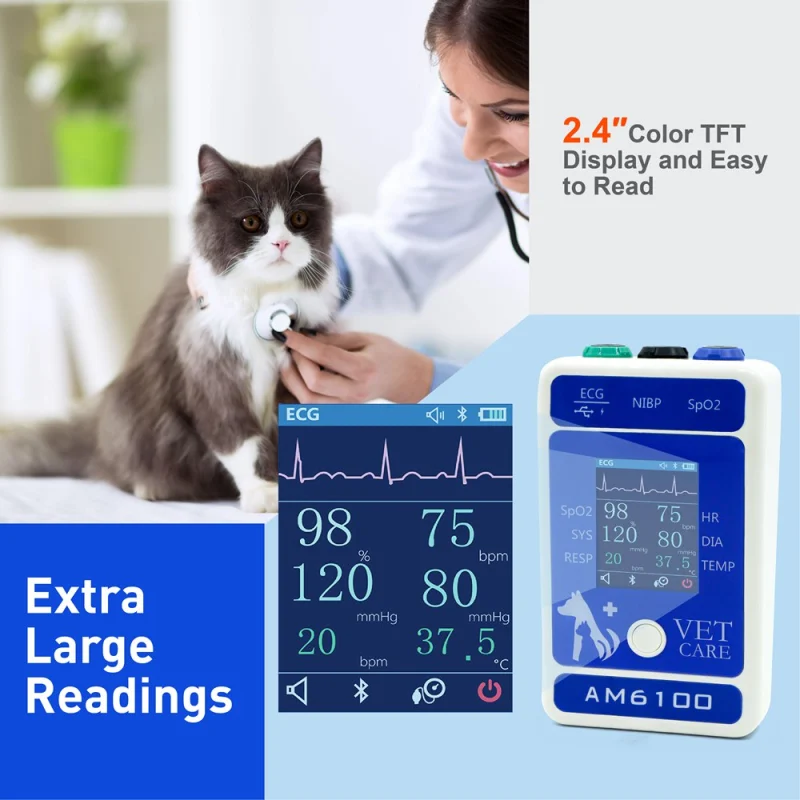 How to Choose the Best Veterinary ECG Monitor for Your Clinic