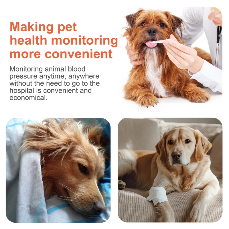 Berry BMN35 Veterinary Blood Pressure Monitor - Best BP Monitor - Vet ...