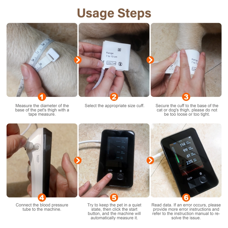 Berry BMN35 Veterinary Blood Pressure Monitor - Best BP Monitor - Vet ...