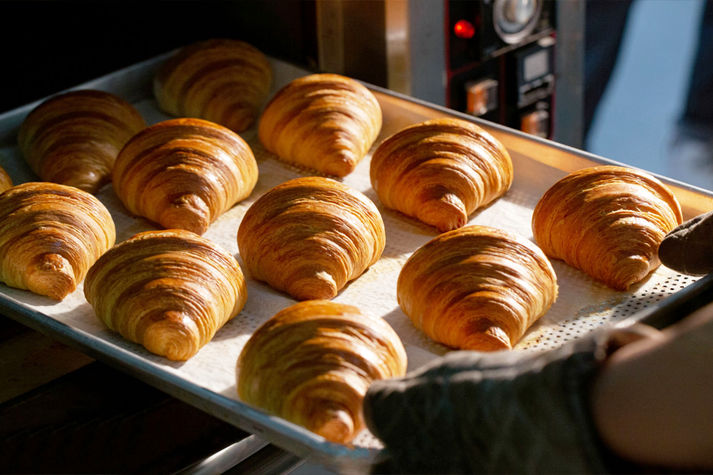 The Development of Ovens: Historical Progression of Cooking Equipment