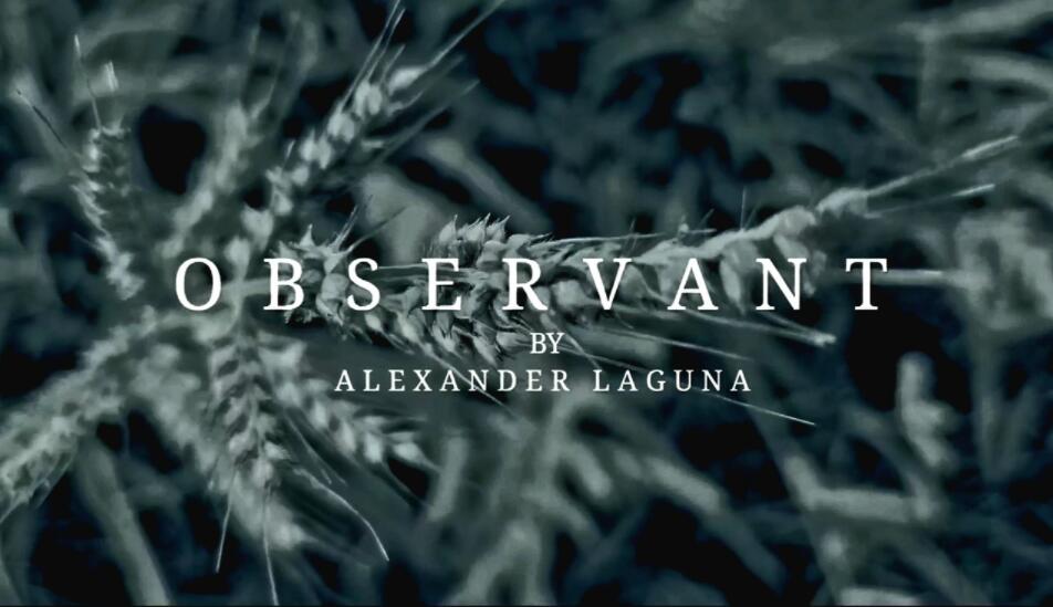 Observant By Alexander Laguna