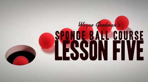Wayne Goodman - Sponge Ball Course Lesson 5
