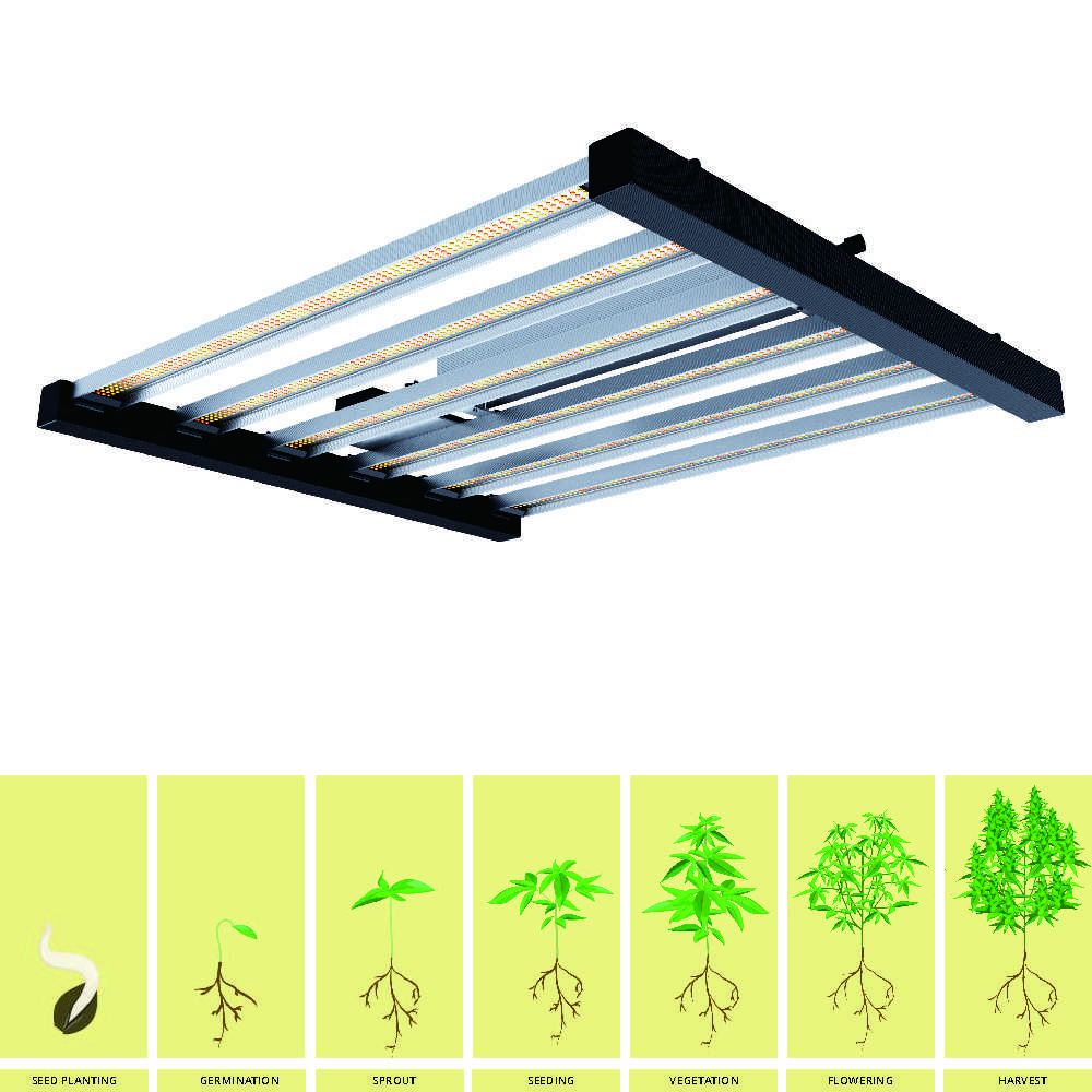 How Do LED Greenhouse Lights Improve Plant Growth?