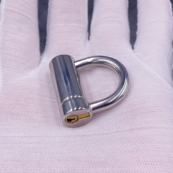 Custom Prince Albert D Ring PA Lock,