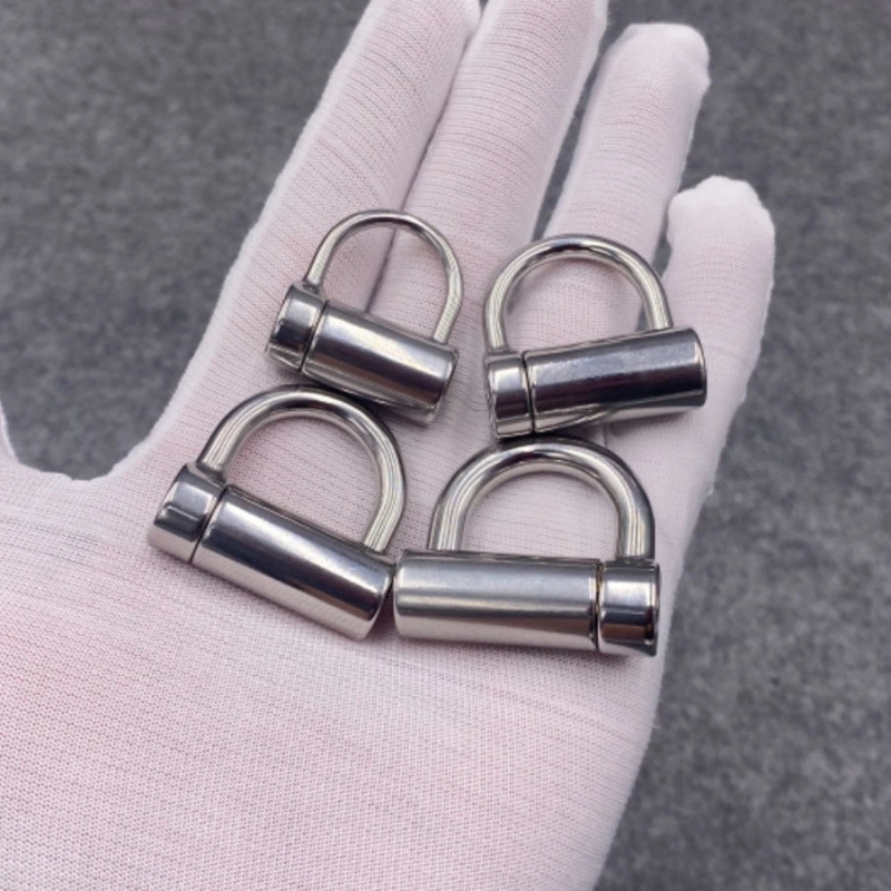 Custom Prince Albert D Ring PA Lock,