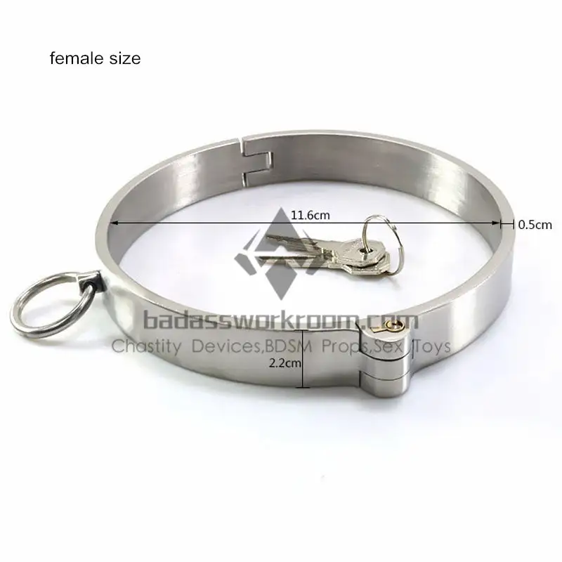 Integrated Cylinder Core Lock Steel BDSM Collar,