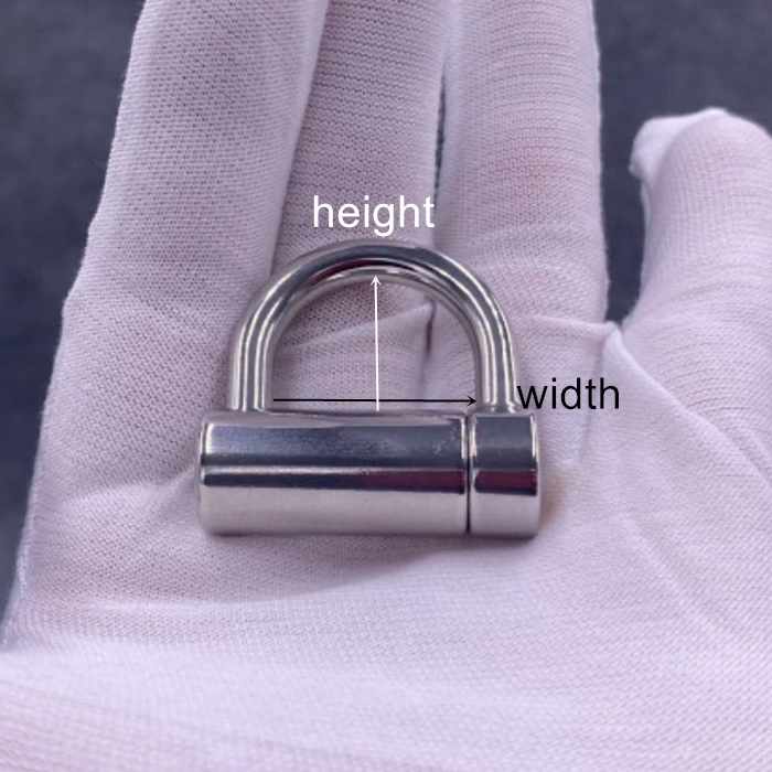 Custom Prince Albert D Ring PA Lock,