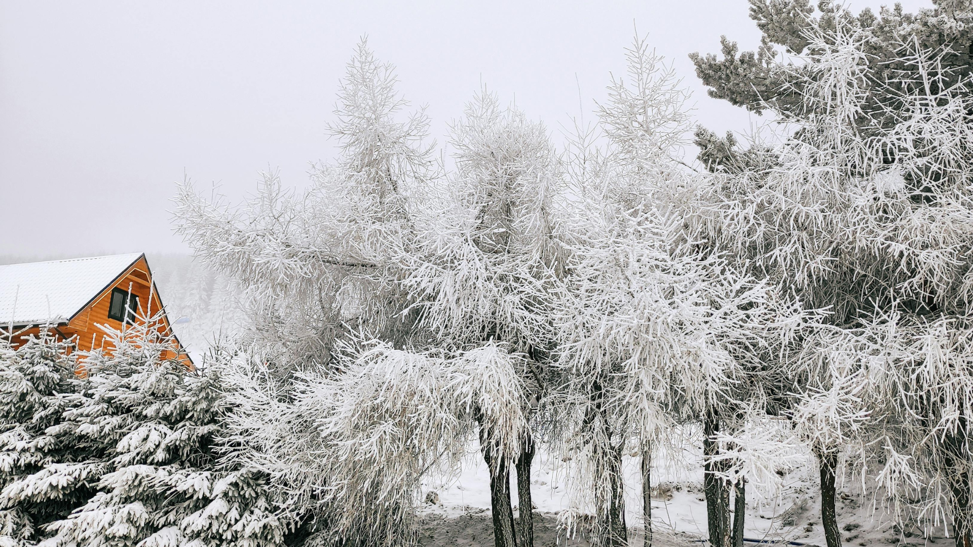 Does Cold Weather Damage a Nitrous Oxide Tank in Canada?