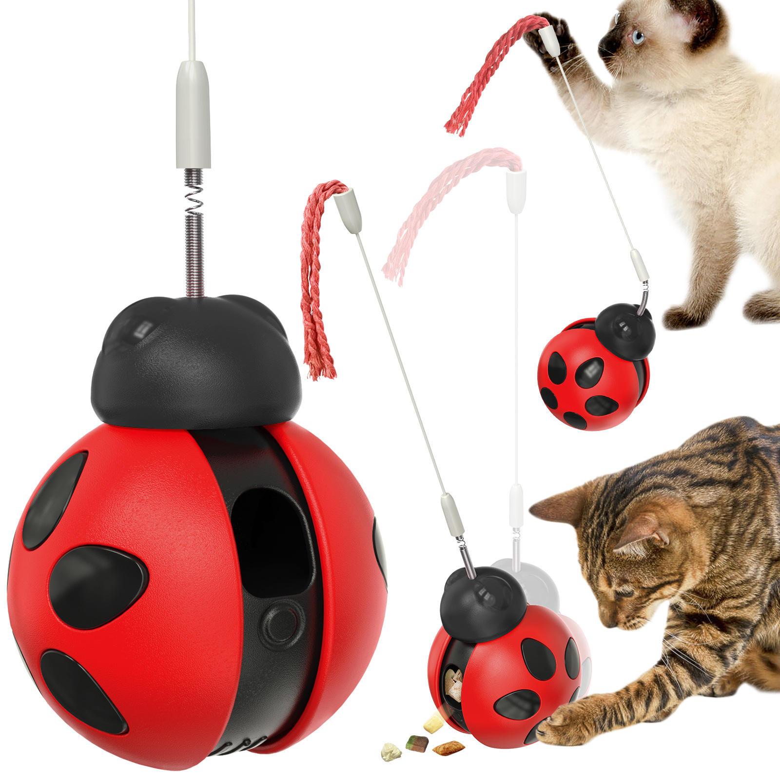 Panda-source.com | Beetle roly-poly cat treat dispenser toy
