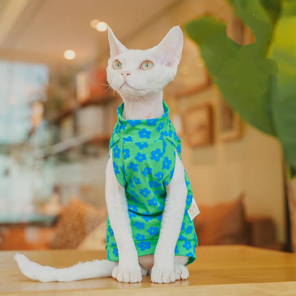 Panda-source.com | Summer Hairless Cat Cotton Vest