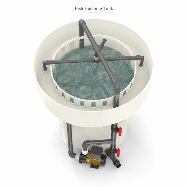 Automatic Fish Egg Incubator for Commercial Aquaculture | PP Fish Fry ...