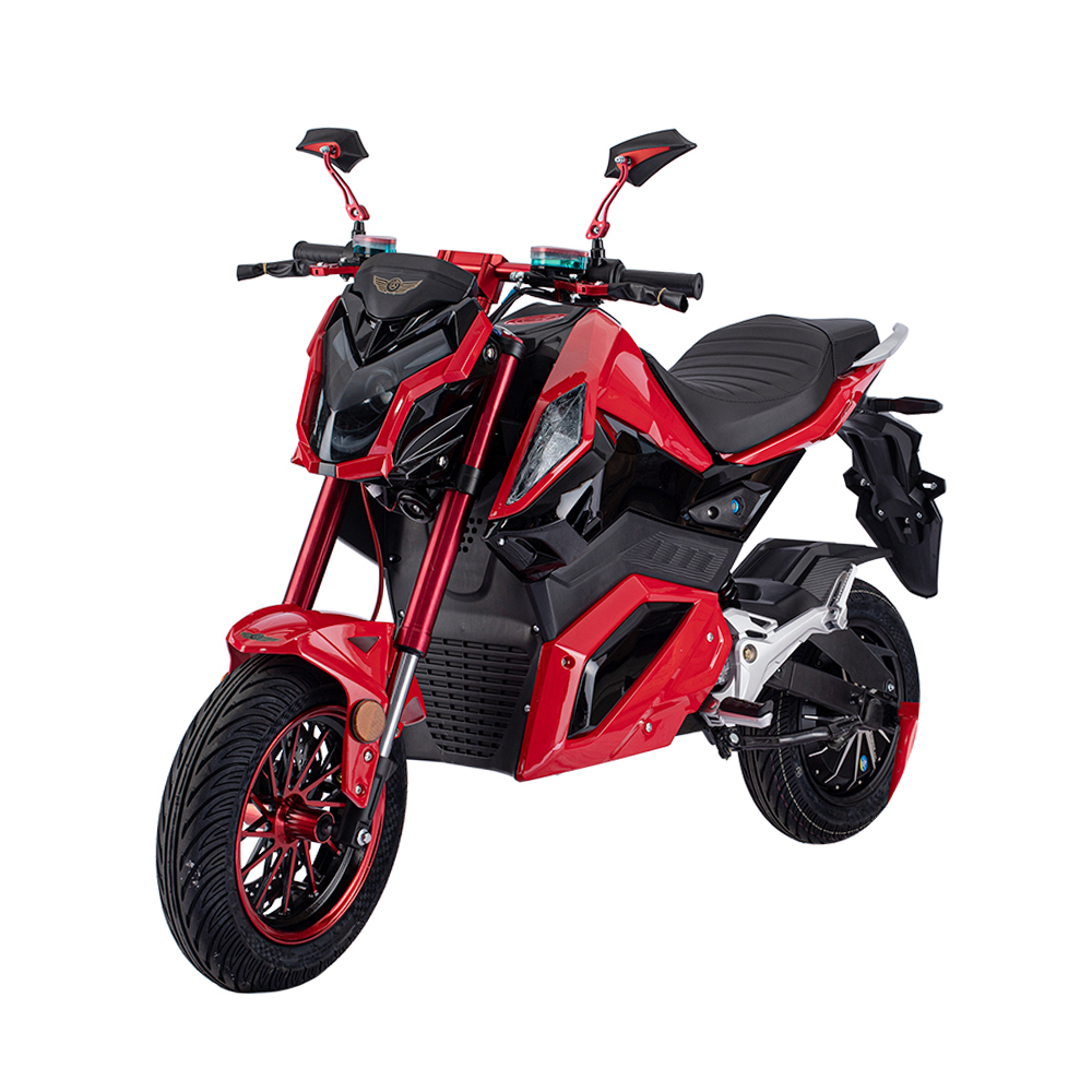 Shilu factory direct sale electric motorcycle