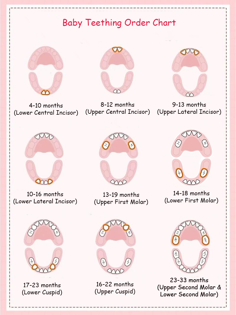 Baby Teething Order Chart, tips for soothing babies