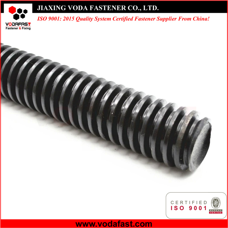 Trapezoidal Threaded Rods Lead Screws (DIN 103) – High Efficiency and ...