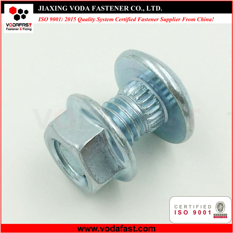 Customized Knurled Neck Bolt with Flange Nuts
