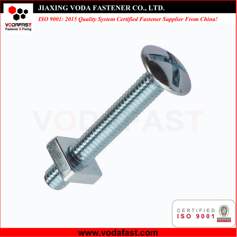 Cross Slotted Roofing Bolt with Square Nut