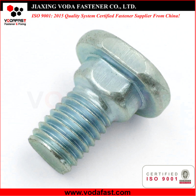 Customized Special Head Bolt with Neck