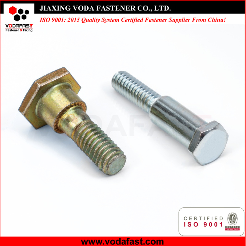 Customized Special Shoulder Bolt
