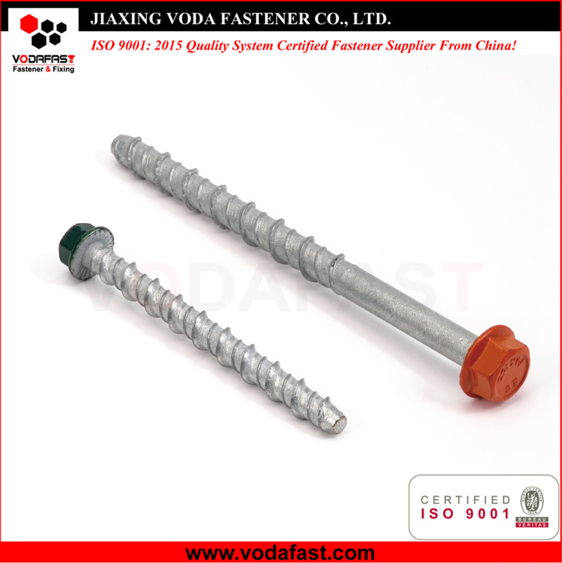 Customized Paint Head Concrete Bolts