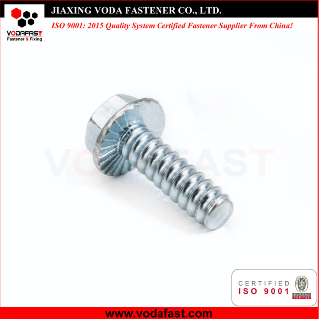 Customized Round Thread Flange Bolts