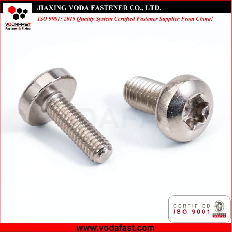 Big Pan Head Torx Drive Machine Screws
