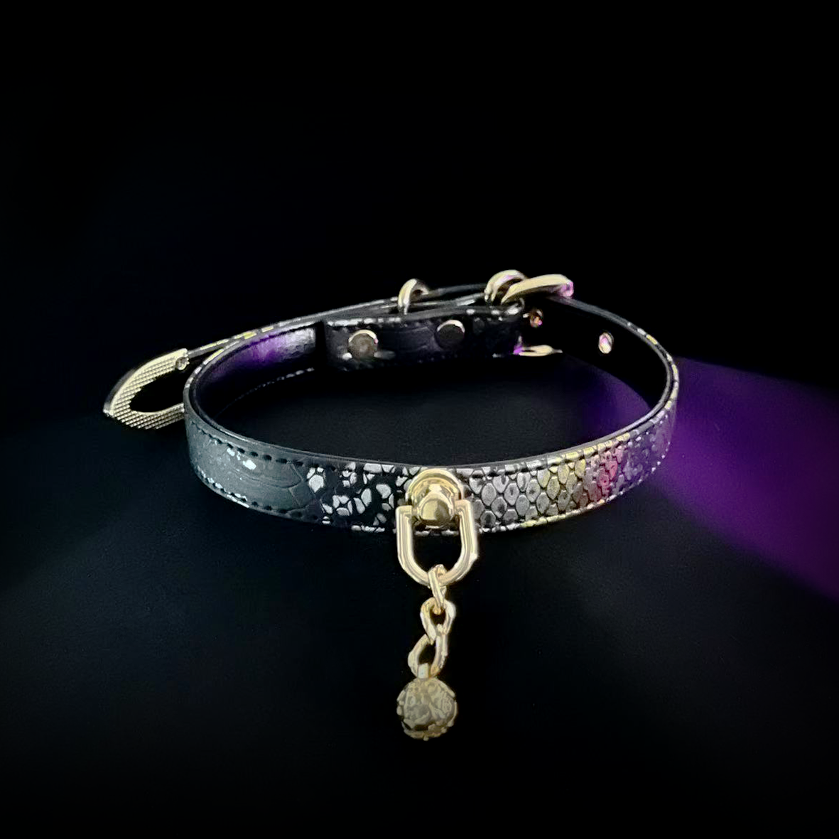 Golden Loop Collar
